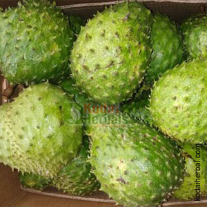 Buy Soursop (Mullu Seetha) Organic, Kodaikanal Fresh Farm Fruits Online ...