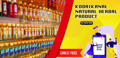 Online Kodai Herbals® | Buy Best Ayurvedic Shop, Organic Oils, Spices ...